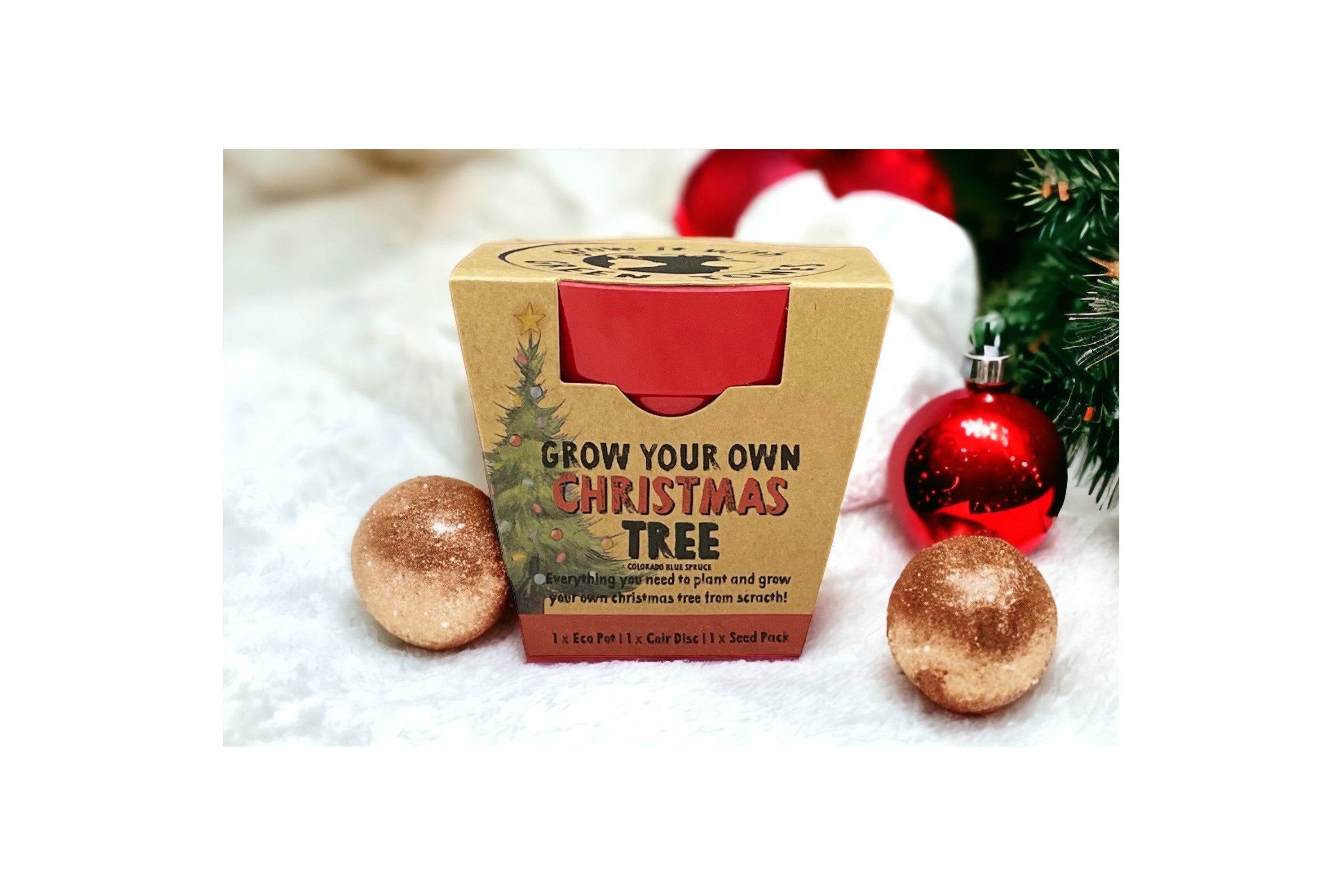 Green Tones | Recycled Picnicware & Eco Grow Pots
