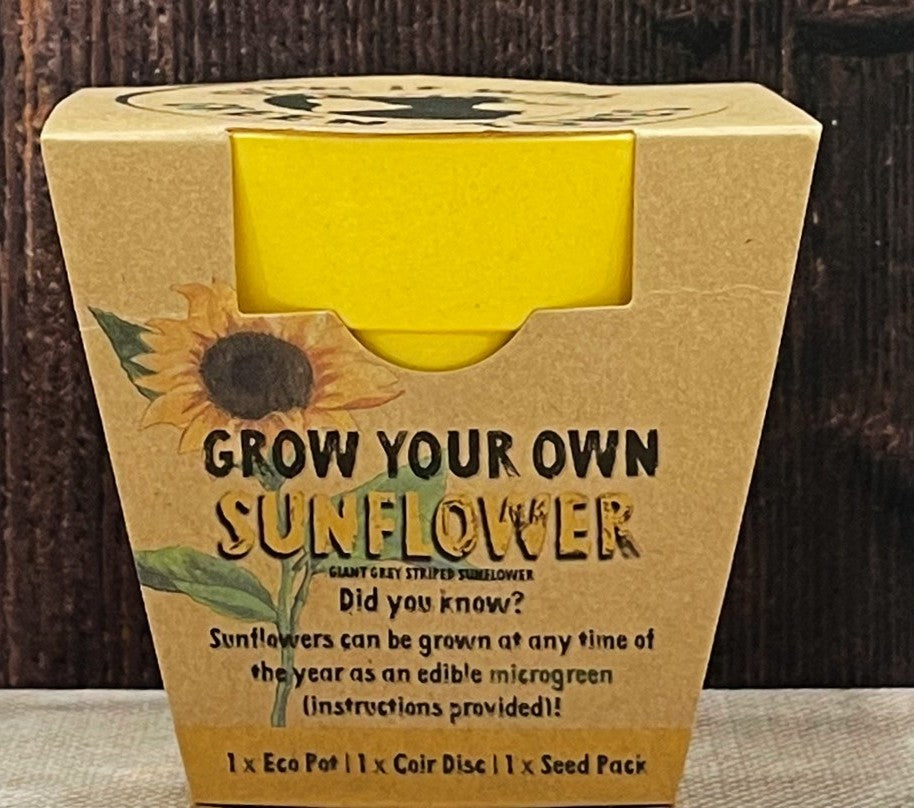 Grow Your Own Sunflower Seed Kit – Green Tones