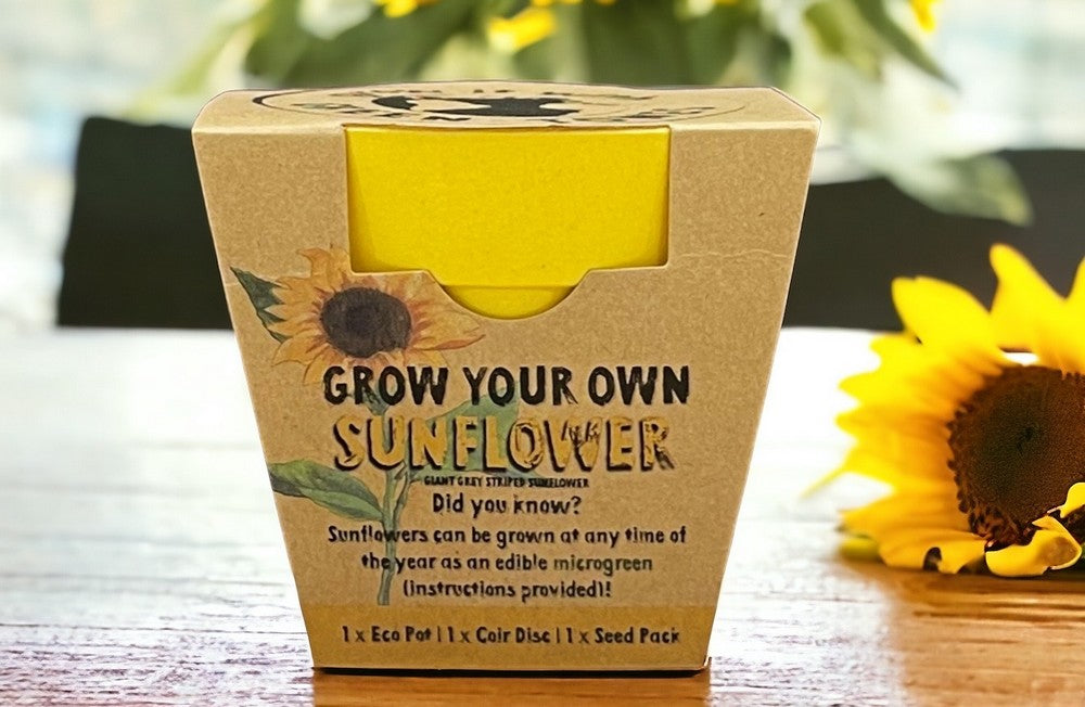 Green Tones | Recycled Picnicware & Eco Grow Pots